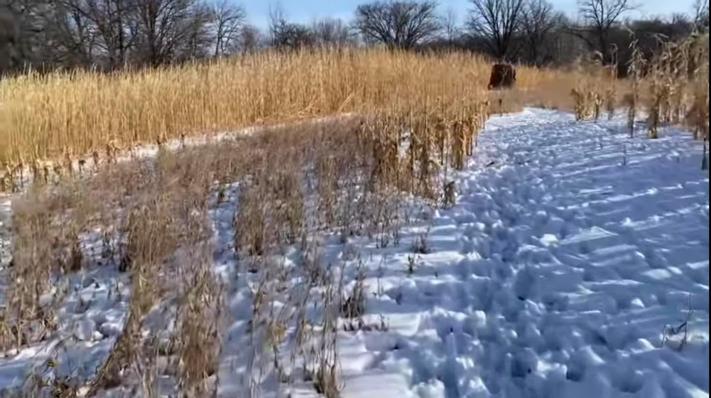 HEAVY DUTY FOOD PLOT SCREEN – Northwoods Whitetails Food Plot Seed